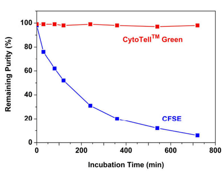 Multicolor Analysis of Cell Proliferation Using a New Panel of CytoTell ...
