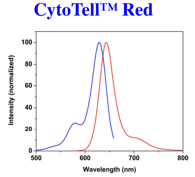 Multicolor Analysis of Cell Proliferation Using a New Panel of CytoTell ...