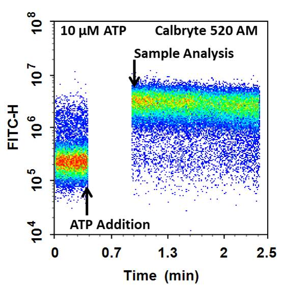 Cell Meter™ Flow Cytometric Calcium Assay Kit | AAT Bioquest