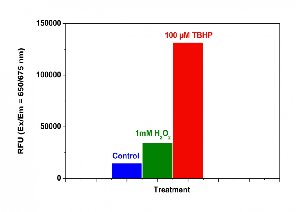 Cell Meter™ Fluorimetric Intracellular Total ROS Activity Assay Kit ...