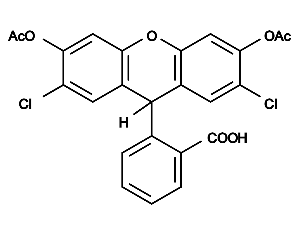 DCFH-DA [2',7'-Dichlorodihydrofluorescein diacetate] *CAS 4091-99-0 ...