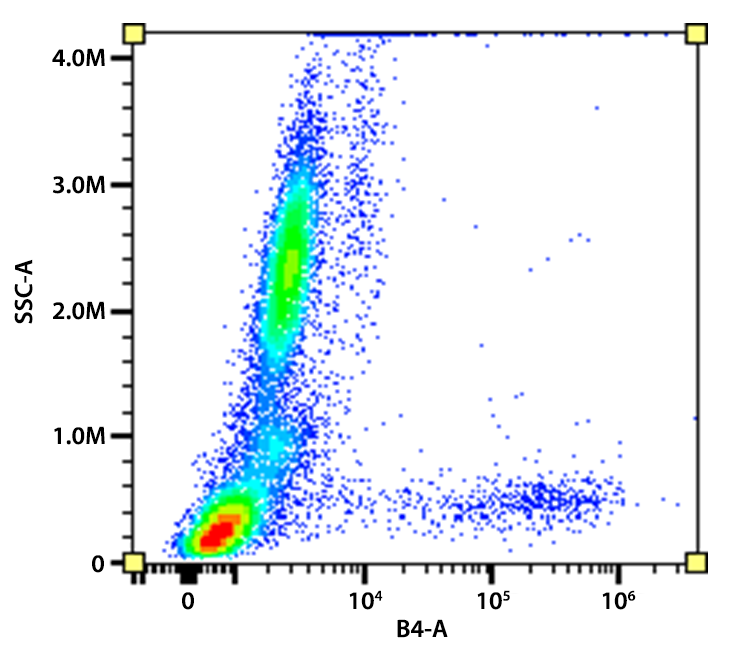 PE Anti-human CD57 Antibody *HI57a* | AAT Bioquest