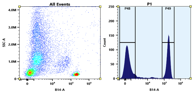 PE/Cy7 Anti-human CD4 Antibody *SK3* | AAT Bioquest