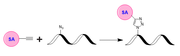 ReadiUse™ Preactivated Streptavidin Azide | AAT Bioquest