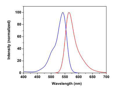 Cell Explorer™ Live Cell Tracking Kit *Orange Fluorescence* | AAT Bioquest