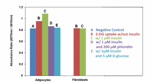 Screen Quest™ Colorimetric Glucose Uptake Assay Kit | AAT Bioquest