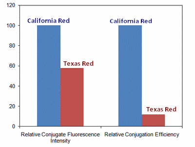 California Red™ SE | AAT Bioquest