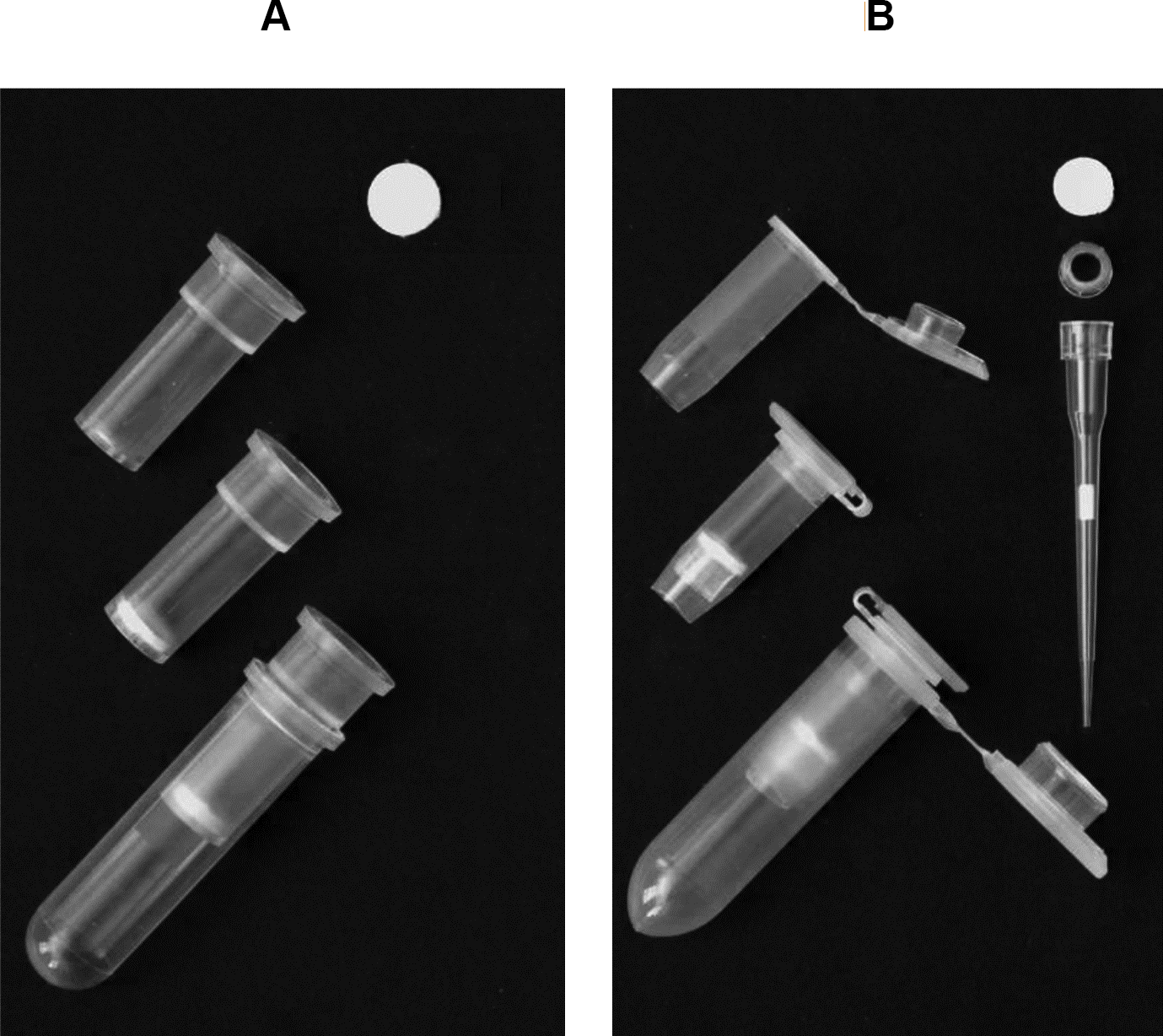 RNA Purification & Analysis | AAT Bioquest